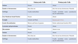 Prokayotes and eukaryotes | PPTX