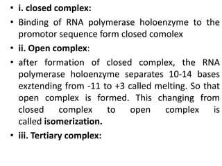 PROKAYOTIC TRANSCRIPTION.pptx