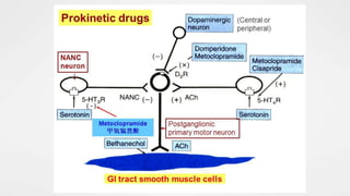 Prokinetics 1 | PPT