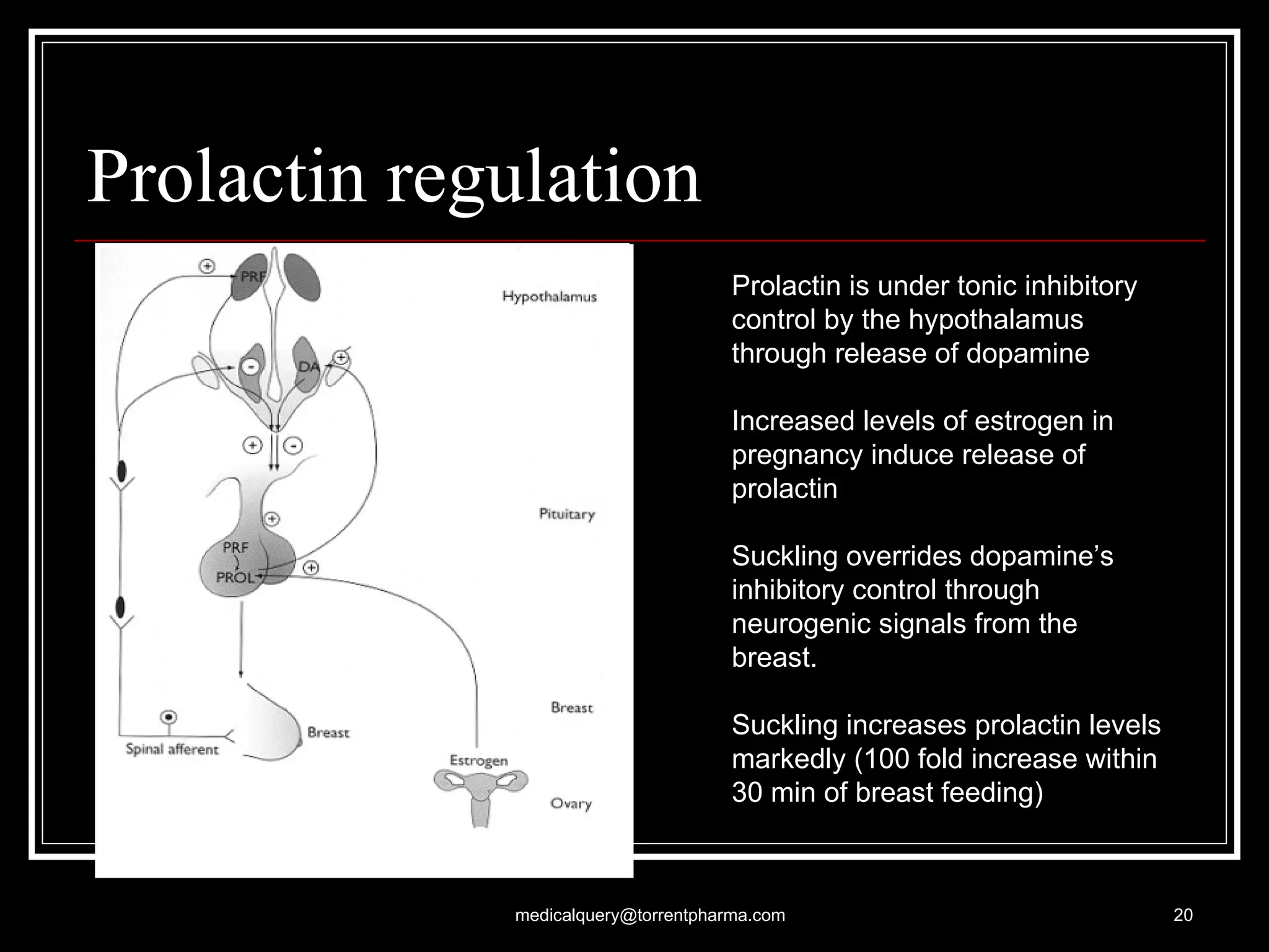 Prolactin+final | PPT