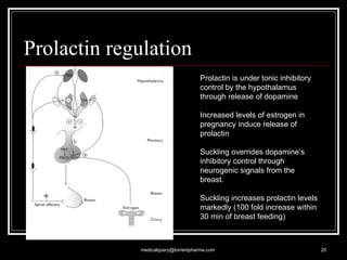 Prolactin+final | PPT