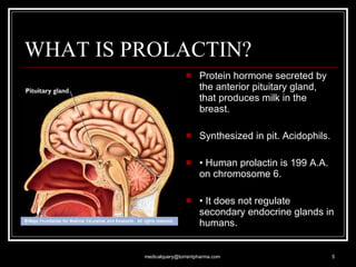Prolactin+final | PPT