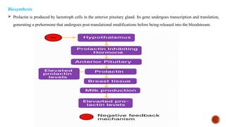 Prolactin: An Endocrine Hormone Beyond Lactatio | PPTX