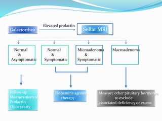 Prolactinoma & men syndromes | PPSX