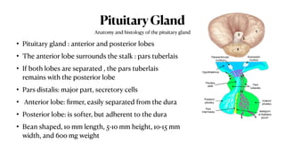 Prolactinoma; updates in management | PDF