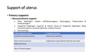 prolapse of pelvic organs,subject gynaecology.pdf