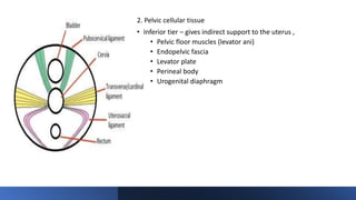 pelvic organ prolapse.pptx