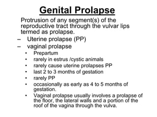 prolapse.ppt | Pregnancy | Reproductive Health