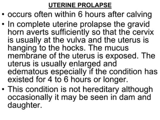 prolapse.ppt | Pregnancy | Reproductive Health