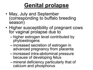 prolapse.ppt | Pregnancy | Reproductive Health