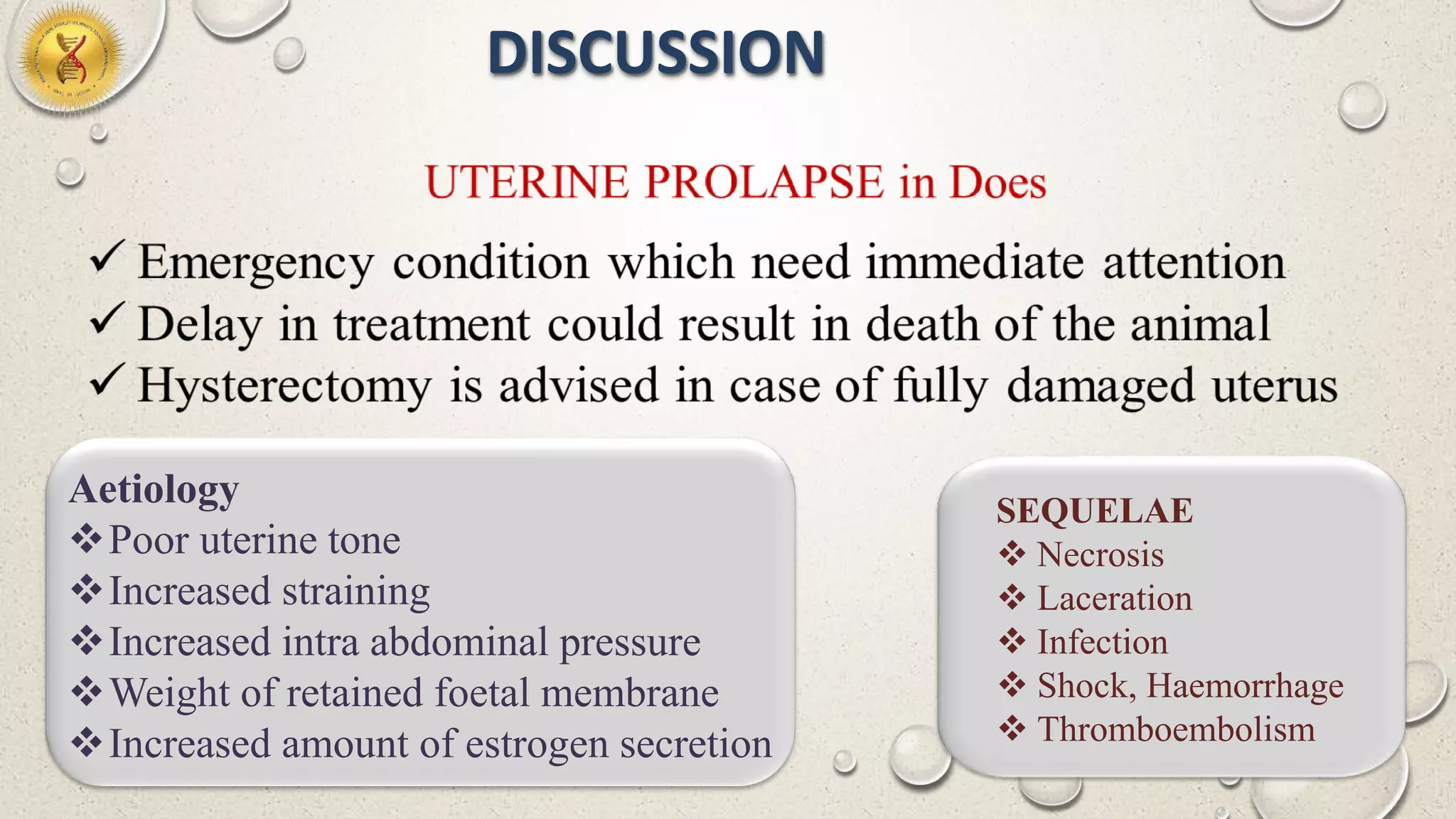 uterine prolapse in goat | PPT