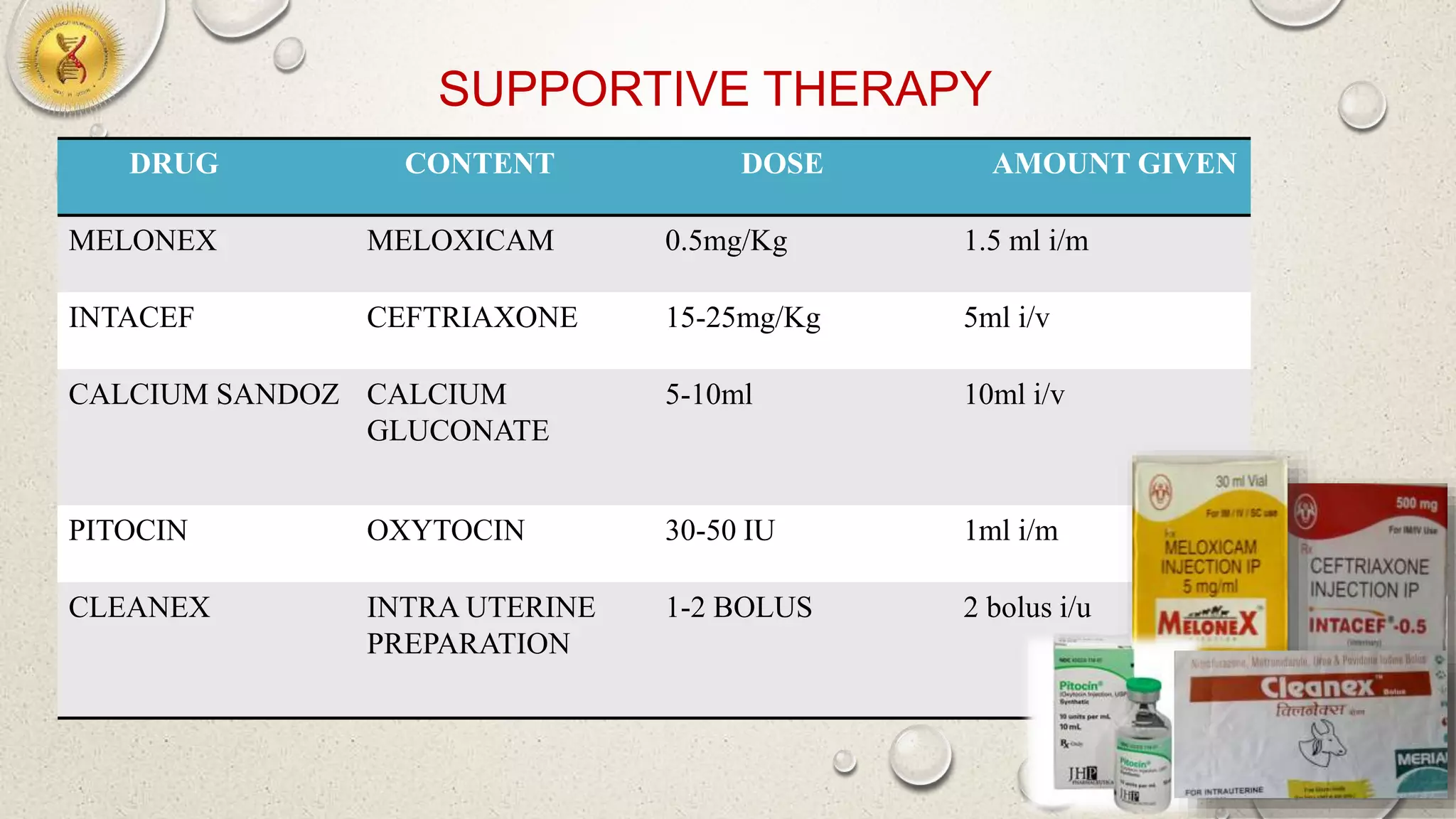 uterine prolapse in goat | PPT