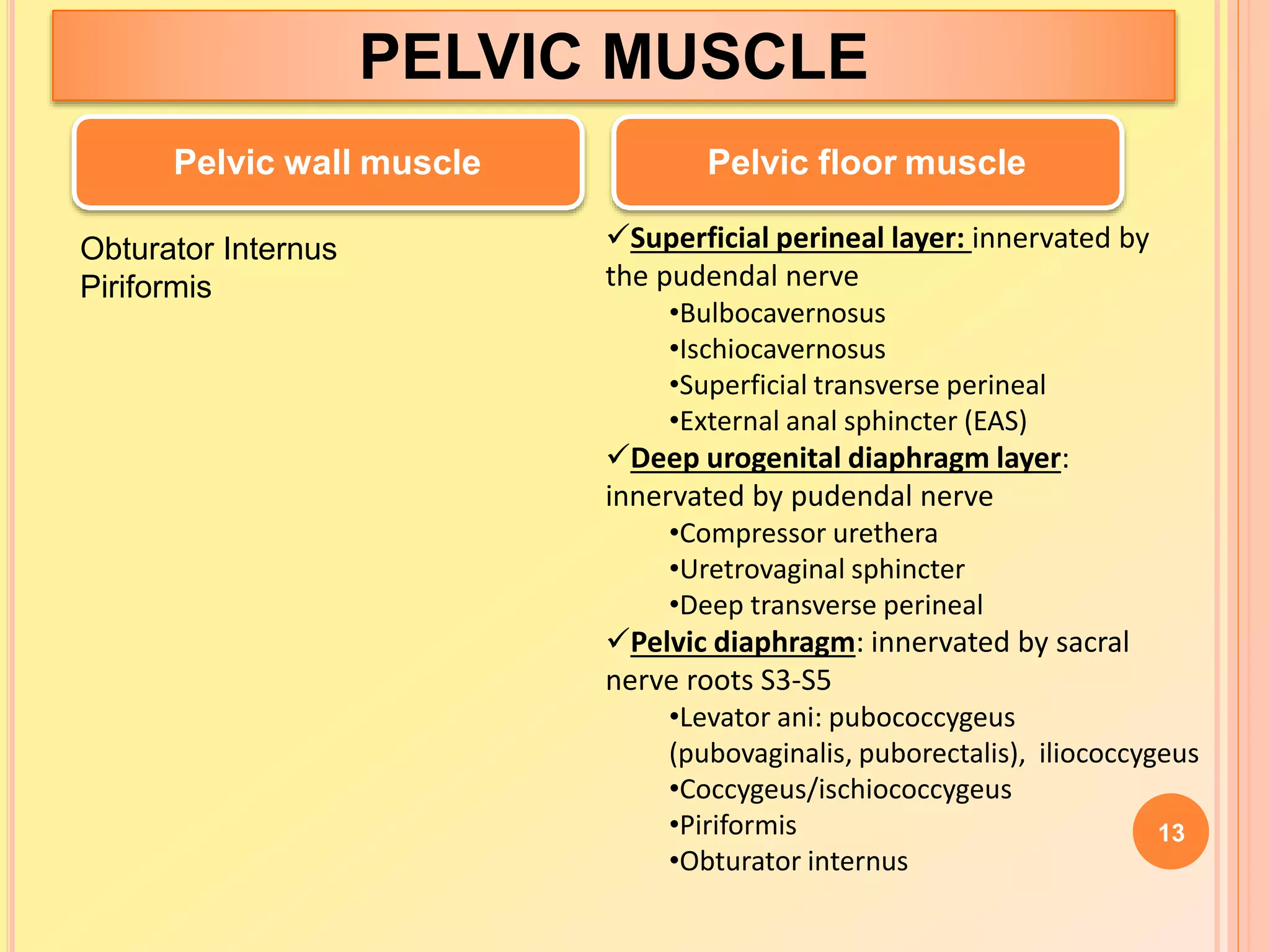Pelvic Organ Prolapse | PPTX