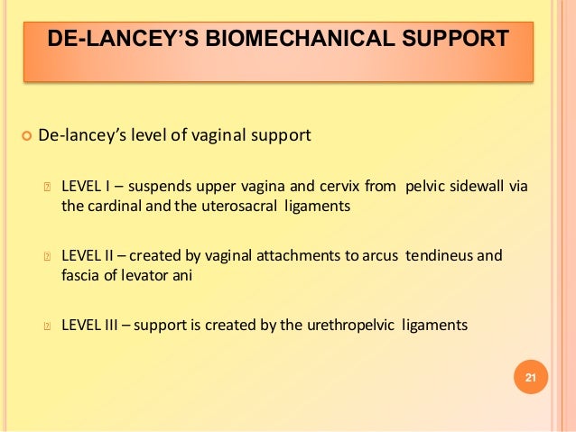 Pelvic Organ Prolapse