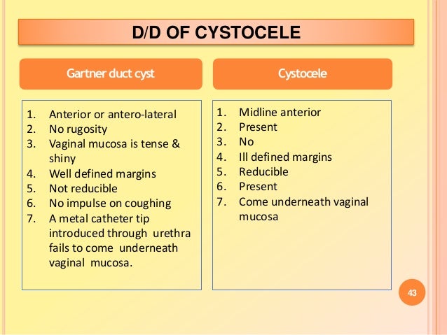 Pelvic Organ Prolapse