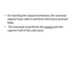 Prolapse rectum | PPTX