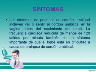 Prolapso de cordon umbilical | PPT
