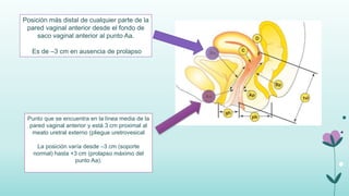 Prolapso de organos pelvicos | PPTX