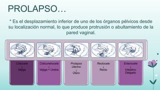 Reflejo Bulbocavernoso