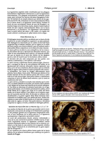 Prolapso genital | PDF | Reproductive Health | Diseases and Conditions