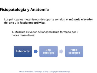 Prolapso genital: histerocele, cistocele y rectocele | PPTX