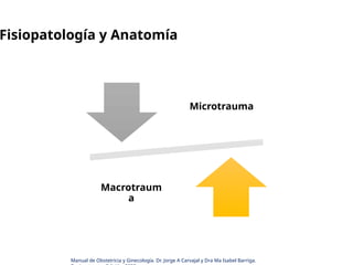 Prolapso genital: histerocele, cistocele y rectocele | PPTX