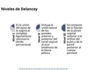 Prolapso genital: histerocele, cistocele y rectocele | PPTX