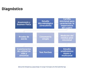 Prolapso genital: histerocele, cistocele y rectocele | PPTX