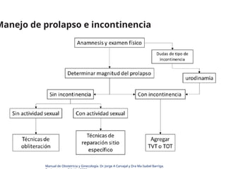 Prolapso genital: histerocele, cistocele y rectocele | PPTX