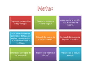Prolapso genital | PPTX