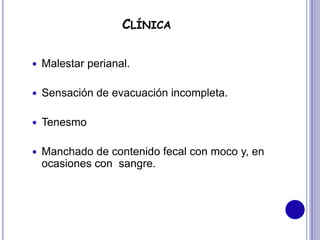 prolapso rectal para medicina cirugía.pdf