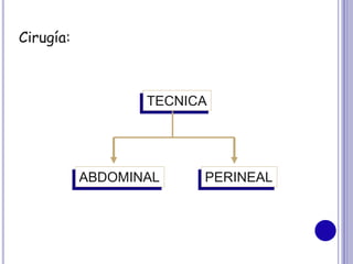 prolapso rectal para medicina cirugía.pdf