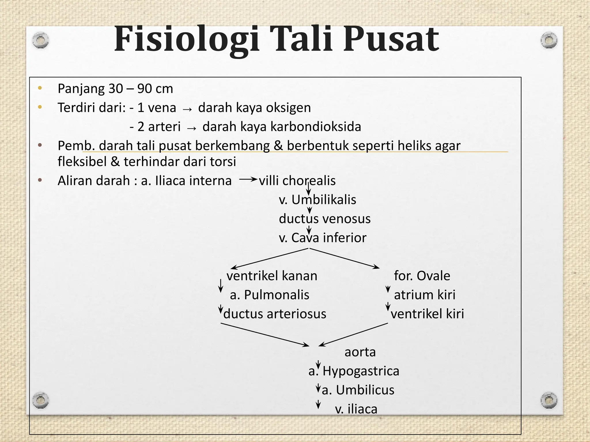 Case prolaps tali pusat, anatom8, fisiologi, patofisiologi | PDF