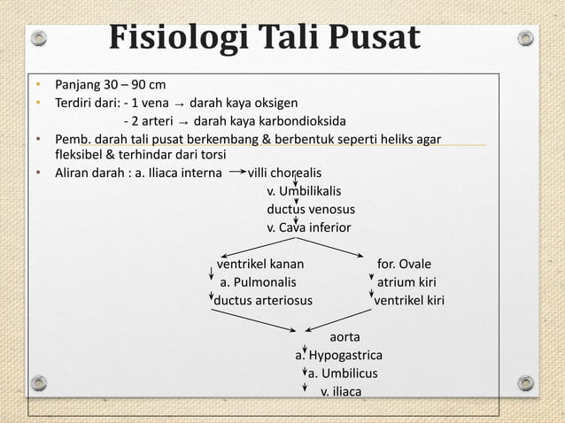 Case prolaps tali pusat, anatom8, fisiologi, patofisiologi | PDF