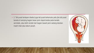 Prolap tali pusat.pptx.kebidanan,obstetri | PPTX