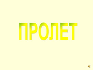 Prolet | PPT