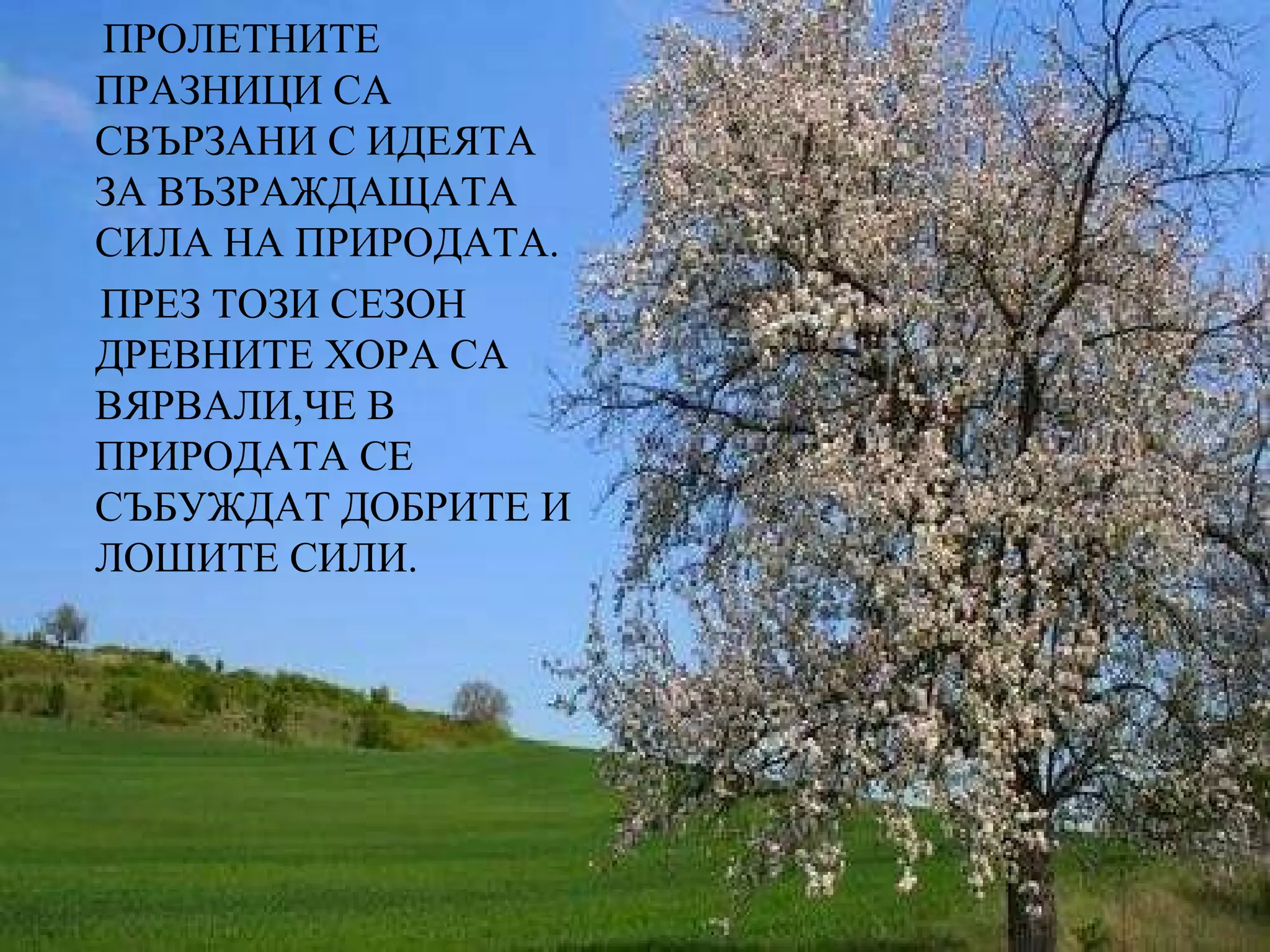 Proletnite praznici | PPS