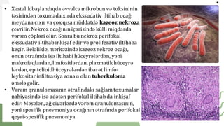Proliferativ iltihab. Spesifik iltihab.pdf