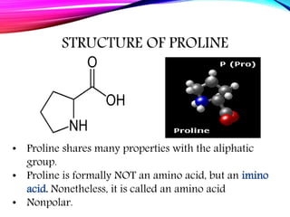Proline | PPTX | Agriculture | Industries
