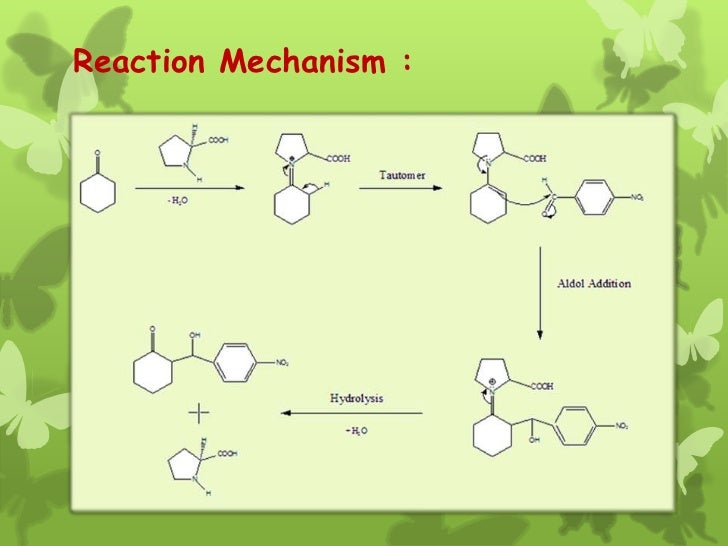 Proline catalyzed aldol reaction