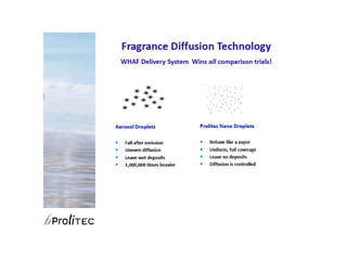 Prolitec Dealer Info | PPT | Automotive