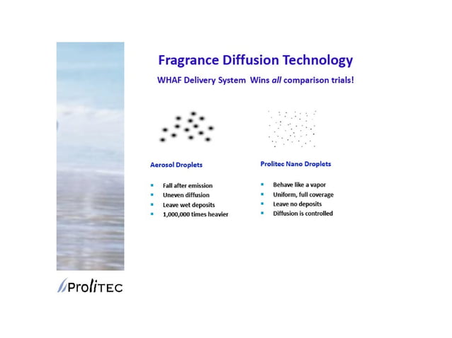 Prolitec Dealer Info | PPT | Automotive