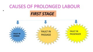 Prolonged labour | PPTX
