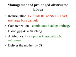 labour pain madfhhjkkuy dredere iiiii .,mhbhfc jkjjjh | PPT | Pregnancy ...