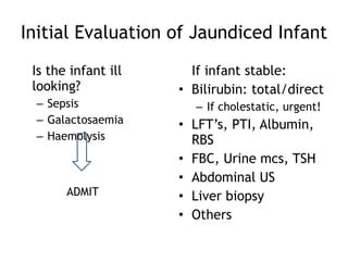 prolonged neonatal jaundiceee ( pNJ ).pdf