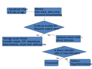 prolonged neonatal jaundiceee ( pNJ ).pdf