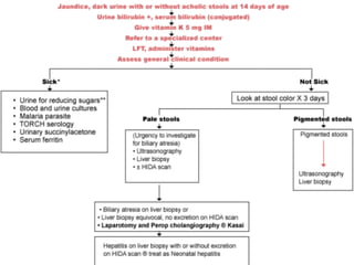 prolonged neonatal jaundiceee ( pNJ ).pdf