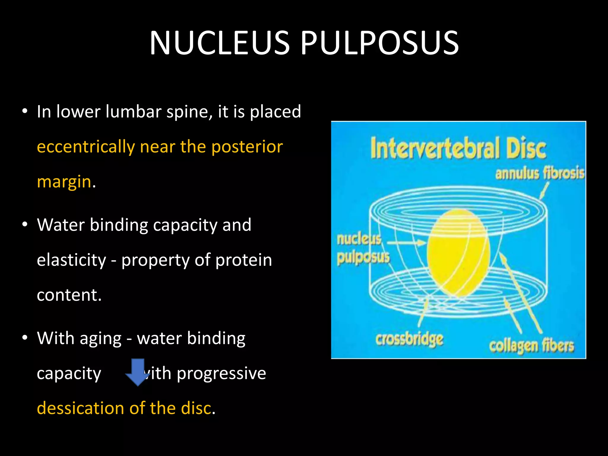 Prolpased inter vertebral disc (pivd) | PPTX