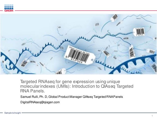 Rnaseq Analysis Identifies Gene Expression Profile