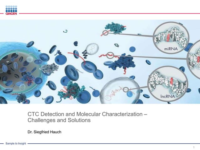 CTC Detection and Molecular Characterization – Challenges and Solutions ...